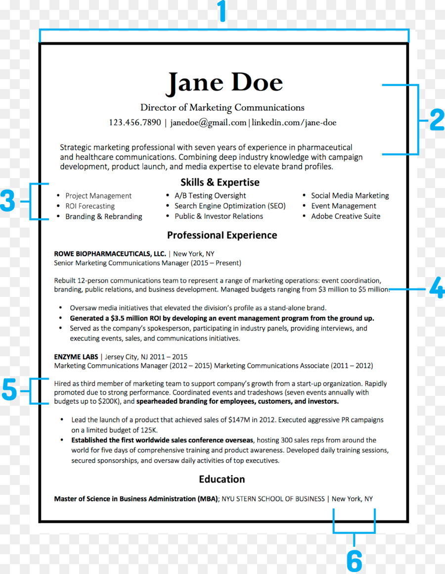 Nyu Resume Template